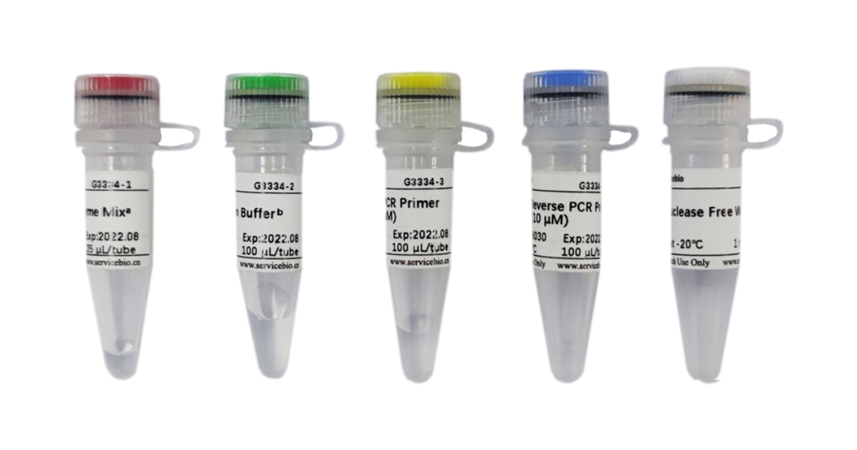Servicebio miRNA First Strand cDNA Synthesis Kit(Tailing Rea | 賾屨有限公司
