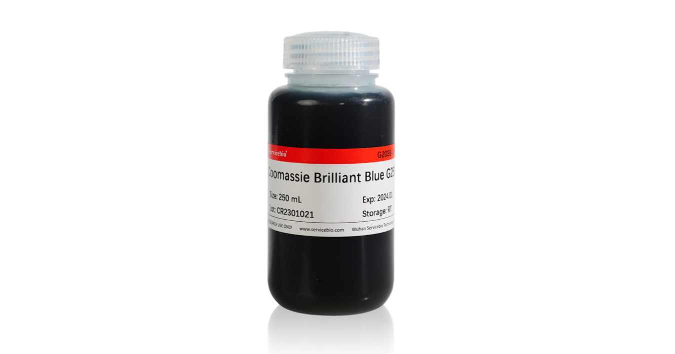 Servicebio Coomassie Brilliant Blue G250 | 賾屨有限公司
