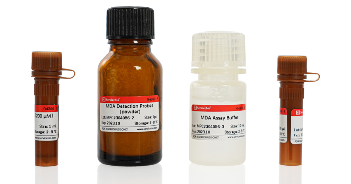 Servicebio Malondialdehyde (MDA) Assay Kit(for Cell samples ...