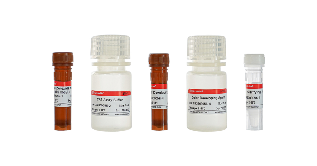 Servicebio Catalase (CAT) Activity Assay Kit | 賾屨有限公司