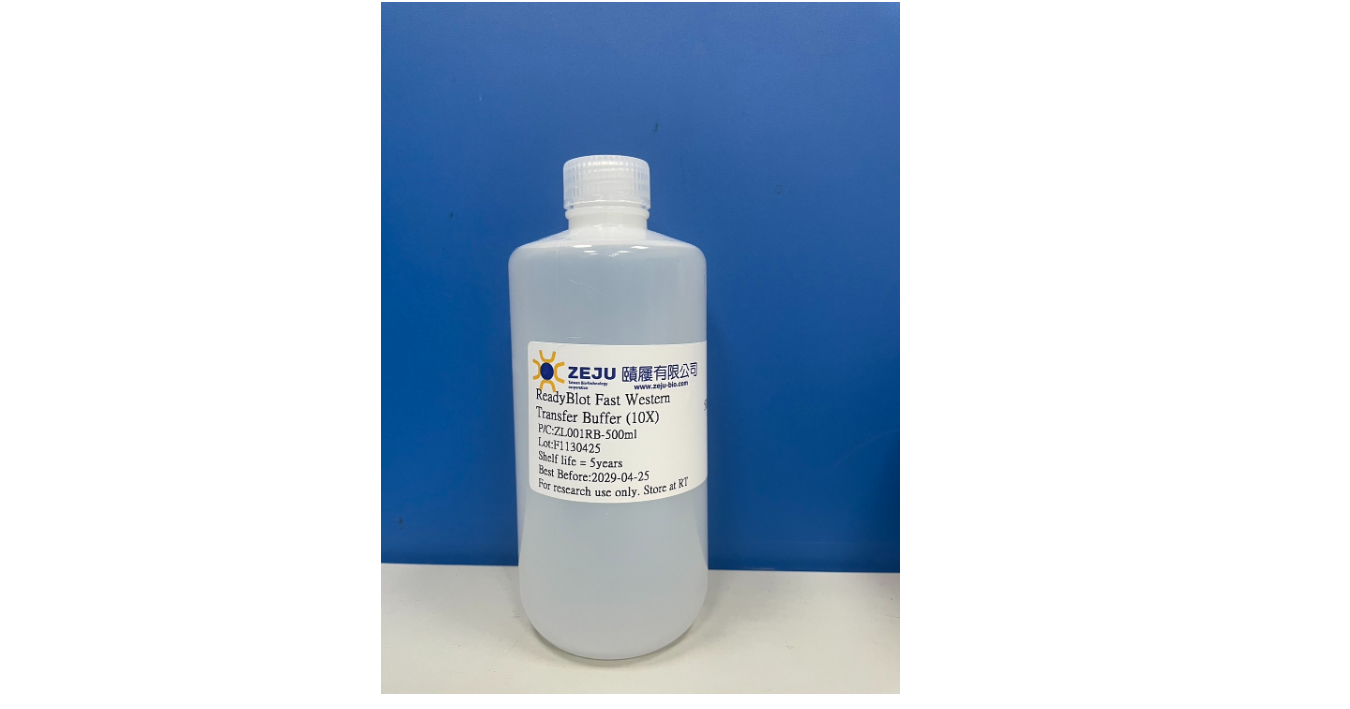 ZEJU 10X ReadyBlot Fast Western Transfer Buffer | 賾屨有限公司